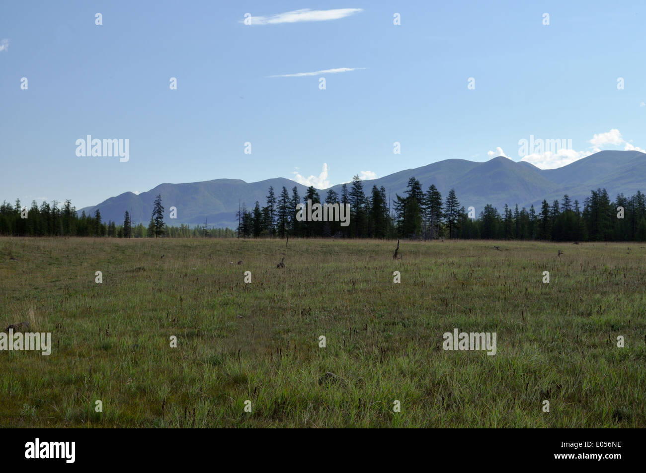 The valley of the mountain river Suntar. Landscape wildlife. Russia ...