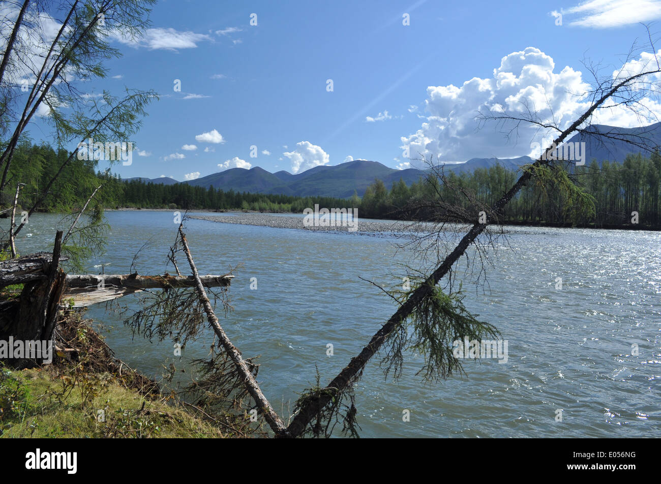 River flowing in a mountain valley. Landscape wildlife. Russia, Yakutia ...