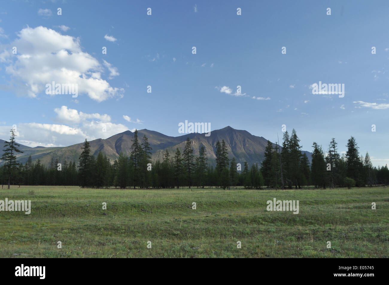 Green meadows in mountain valley of the river Suntar. Russia, Yakutia ...