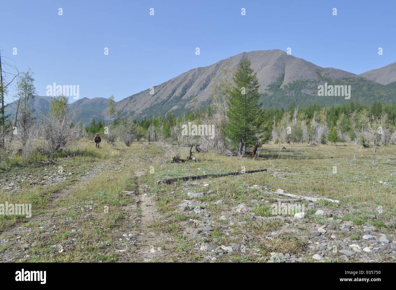 The broad valley between the mountains. Russia, Yakutia, Oymyakon ...