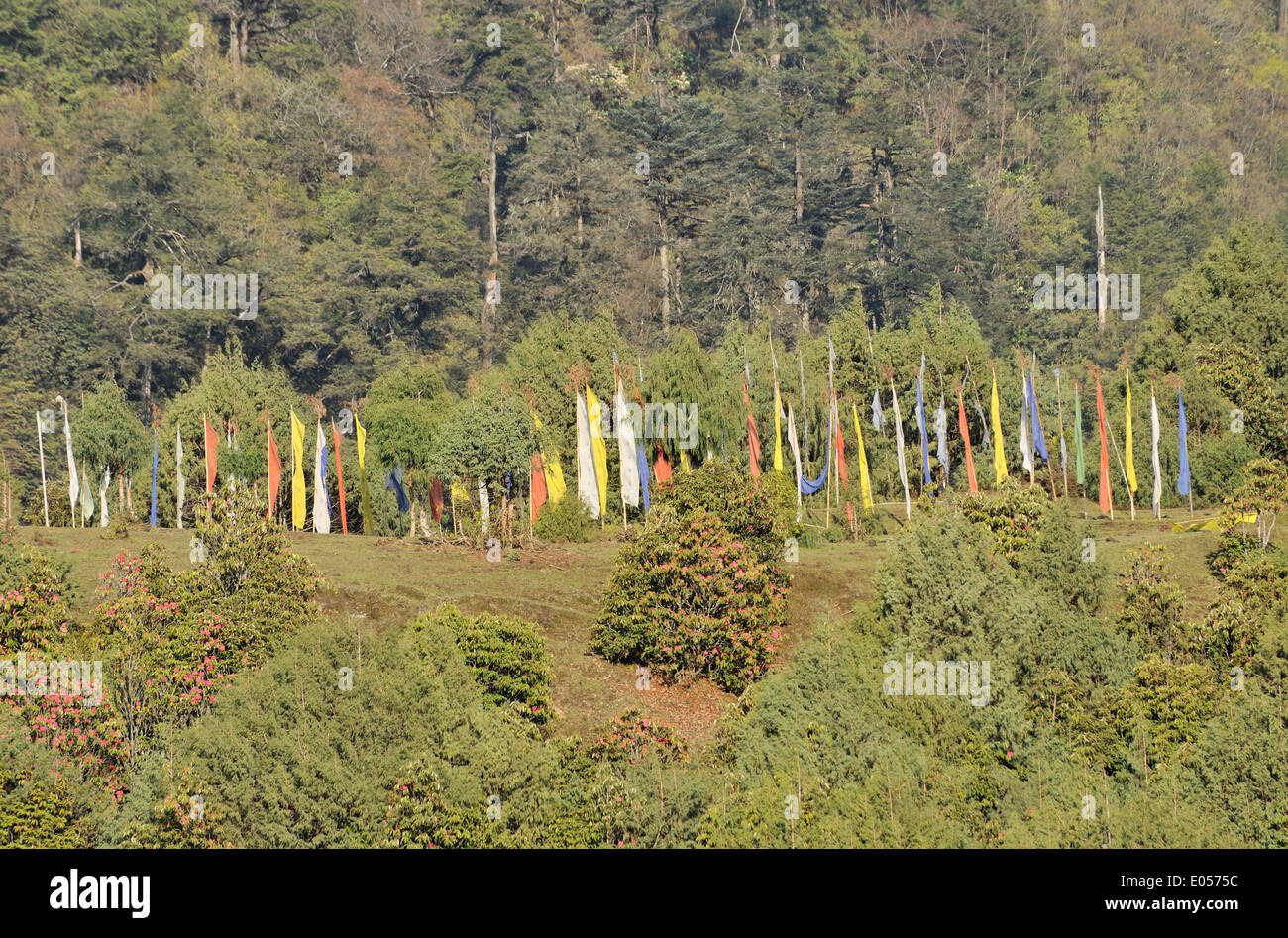 Prayer flags, village of Sakteng on Merak and Sakteng trek, Eastern ...
