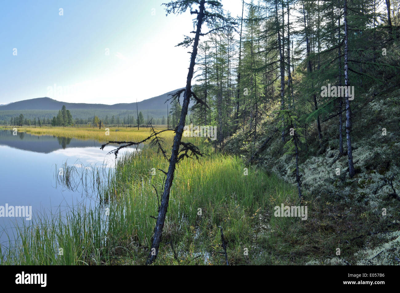 landscape of mountain lake in Yakutia in morning Stock Photo - Alamy