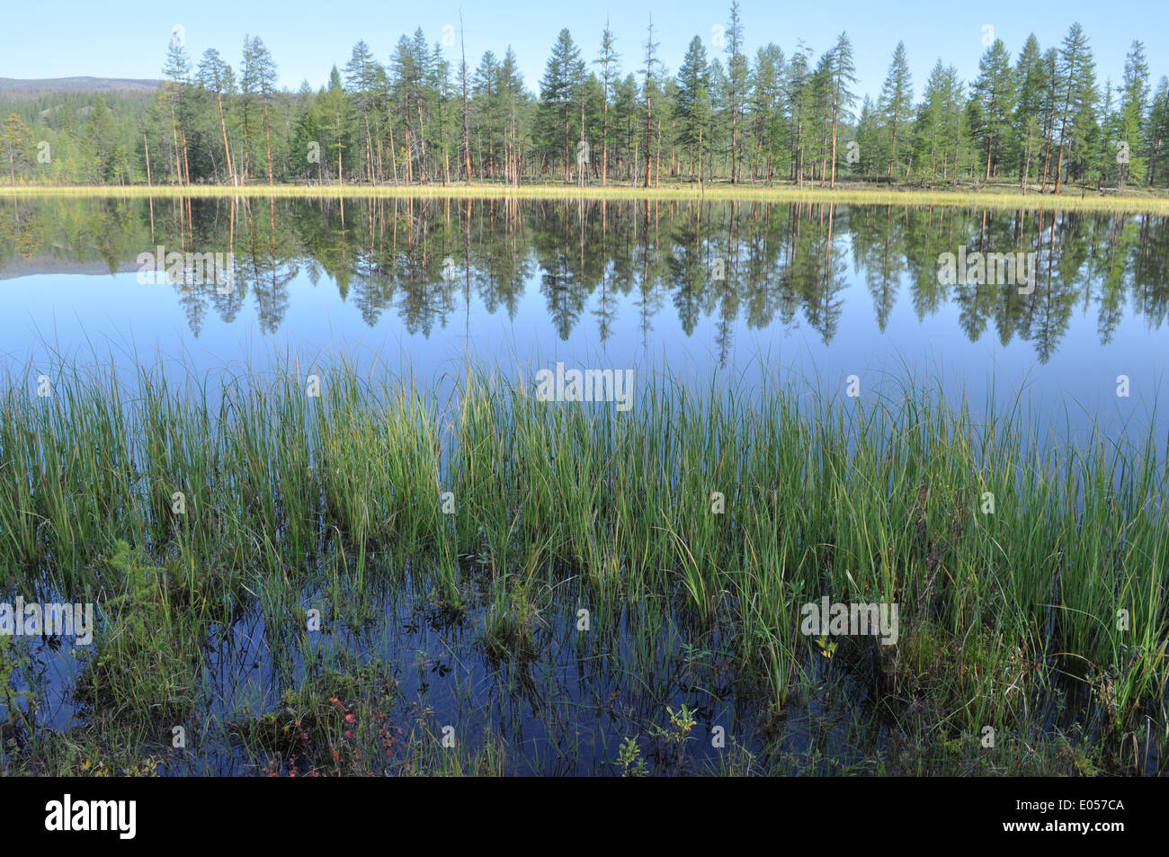 landscape of mountain lake in Yakutia in morning Stock Photo - Alamy