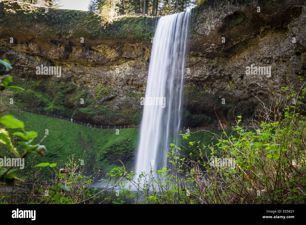 beautiful natural scene of silver lake falls in Oregon with blured ...