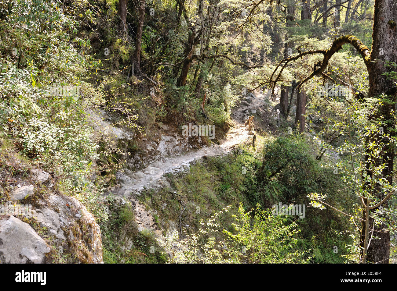 Path on Merak Sakteng trek, Eastern Bhutan Stock Photo - Alamy