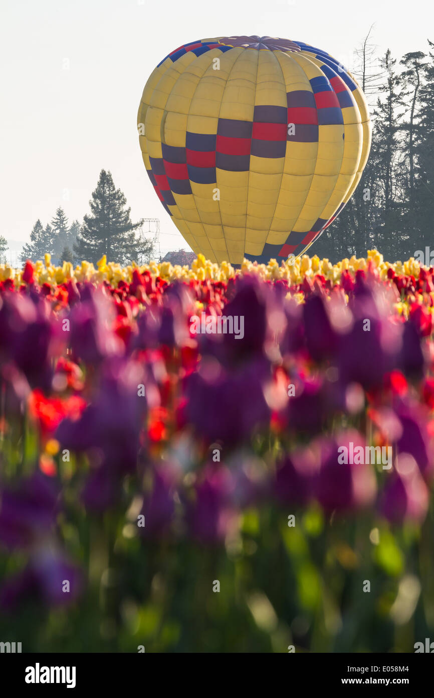 Early oregon transportation hi-res stock photography and images - Alamy