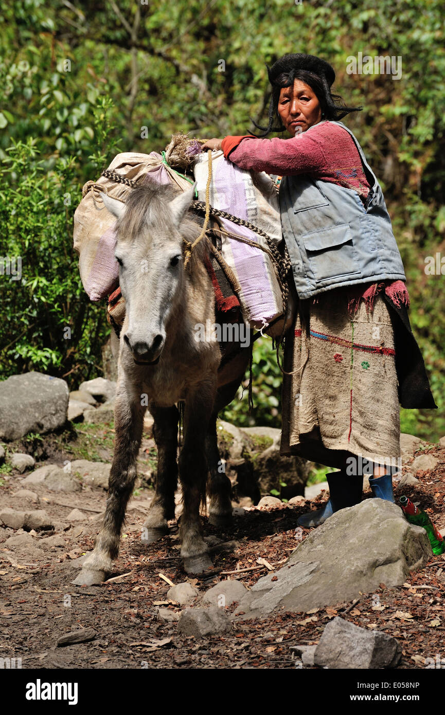 Brokpas bhutan hi-res stock photography and images - Alamy