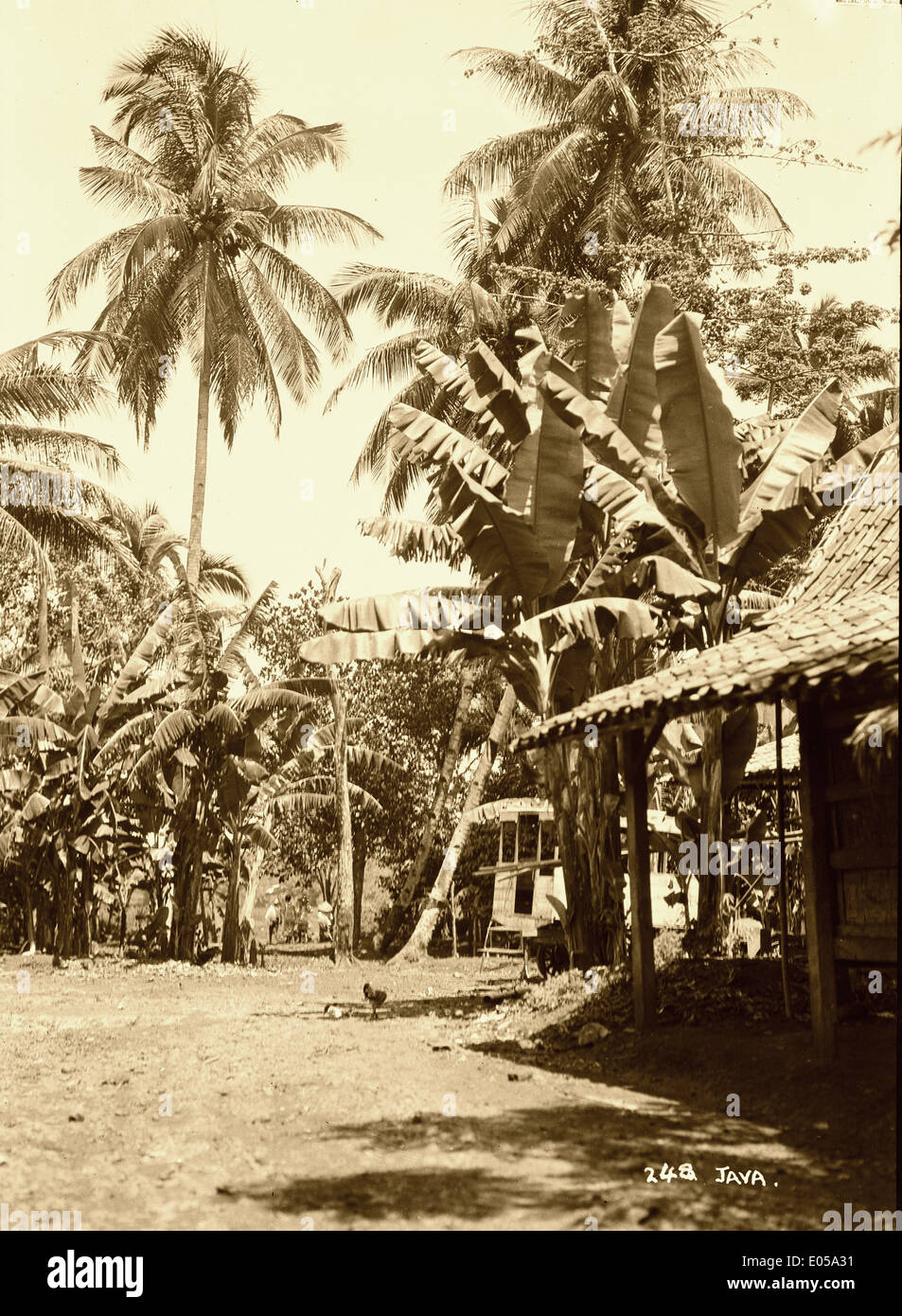 Java and Batavia Stock Photo - Alamy