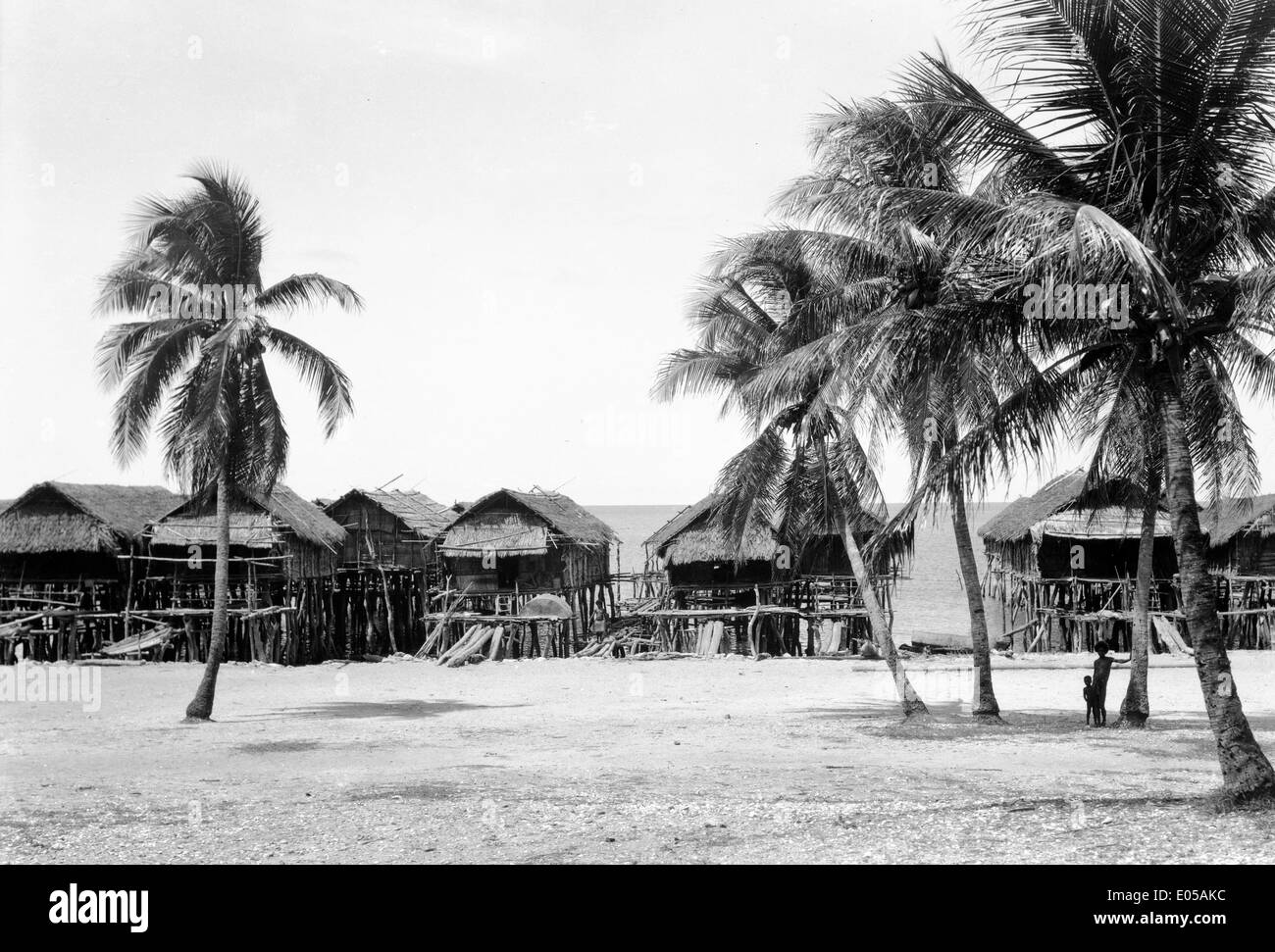Papa New Guinea Stock Photo - Alamy