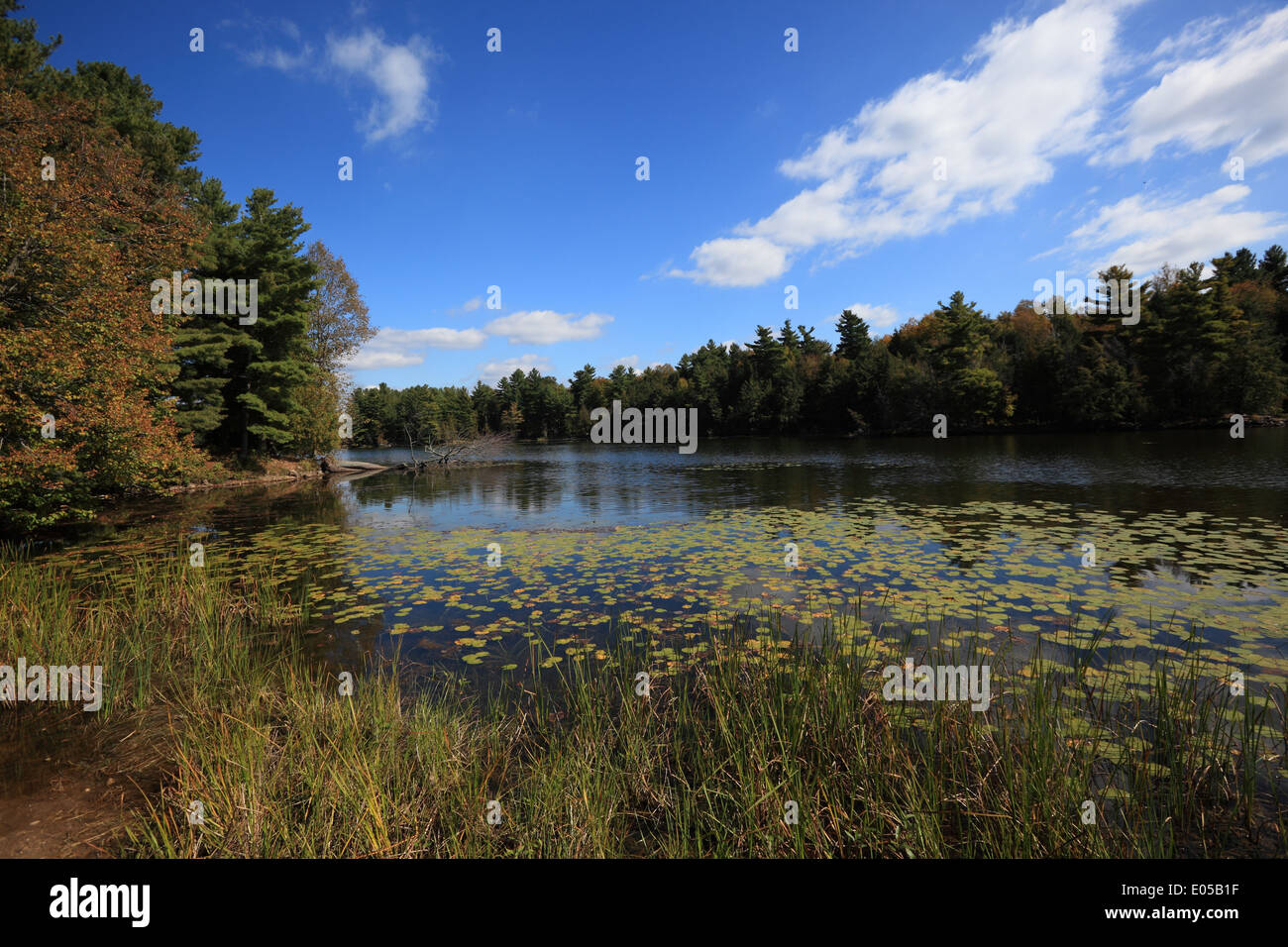 Murphys point provincial park hi-res stock photography and images - Alamy