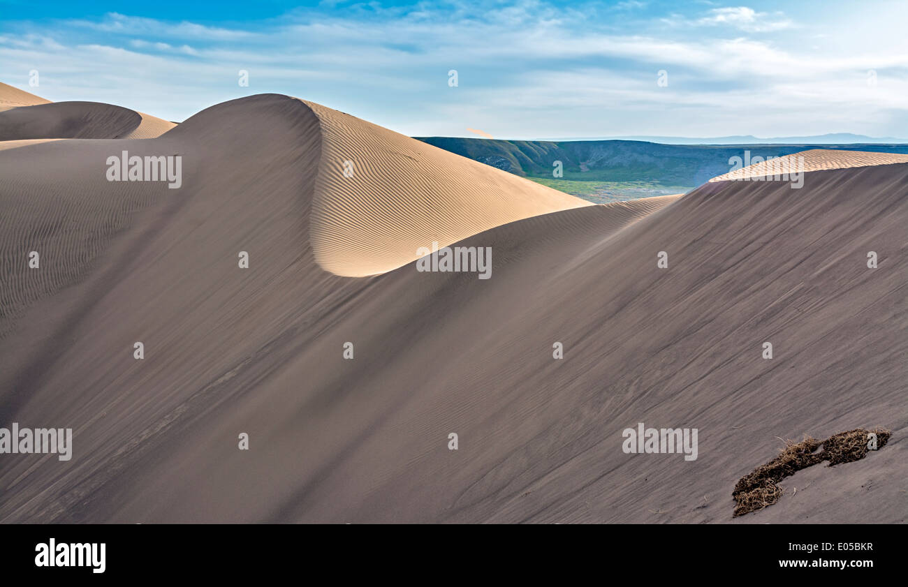 Rolling sand dunes in the desert Stock Photo - Alamy
