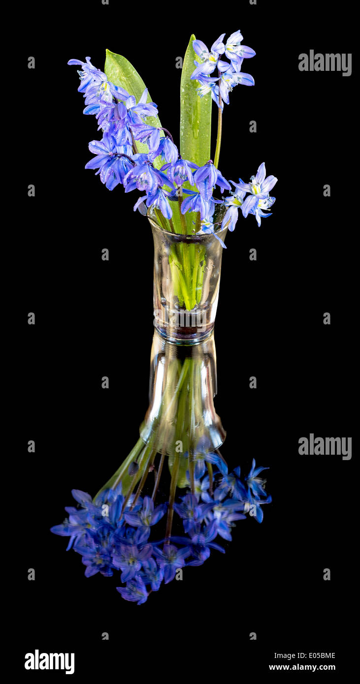 Blue spring flowers hi-res stock photography and images - Alamy