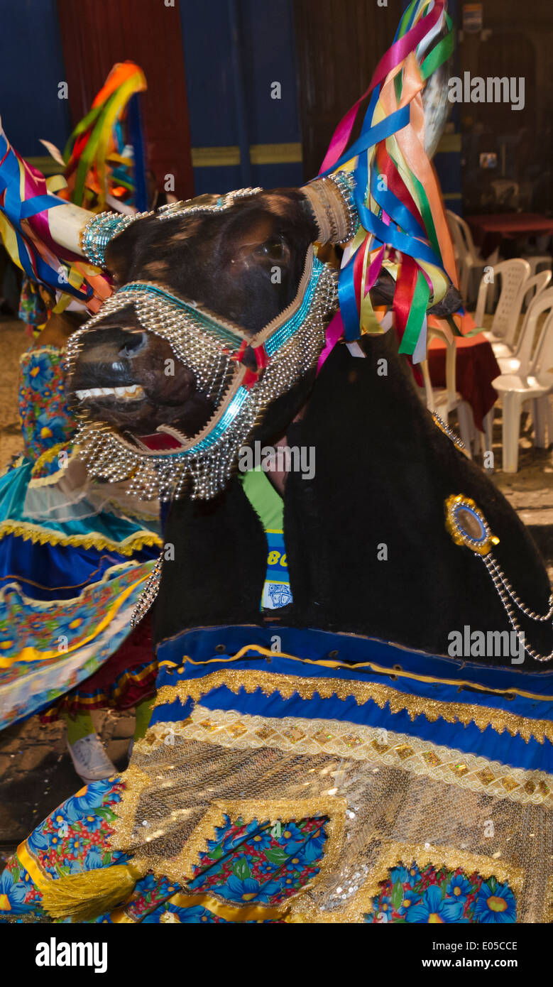 Carnival Parade at night, Recife, Pernambuco State, Brazil Stock Photo ...