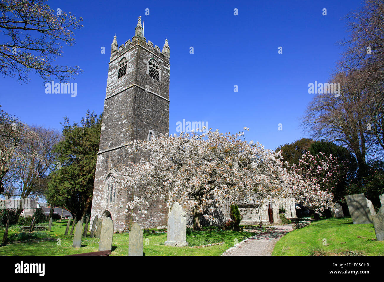 spring blossom and old country church Cornwall England Stock Photo - Alamy