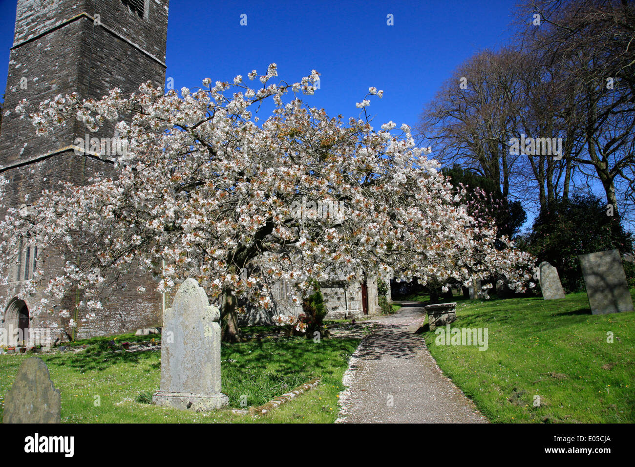 Old path to countryside church cemetery hi-res stock photography and ...