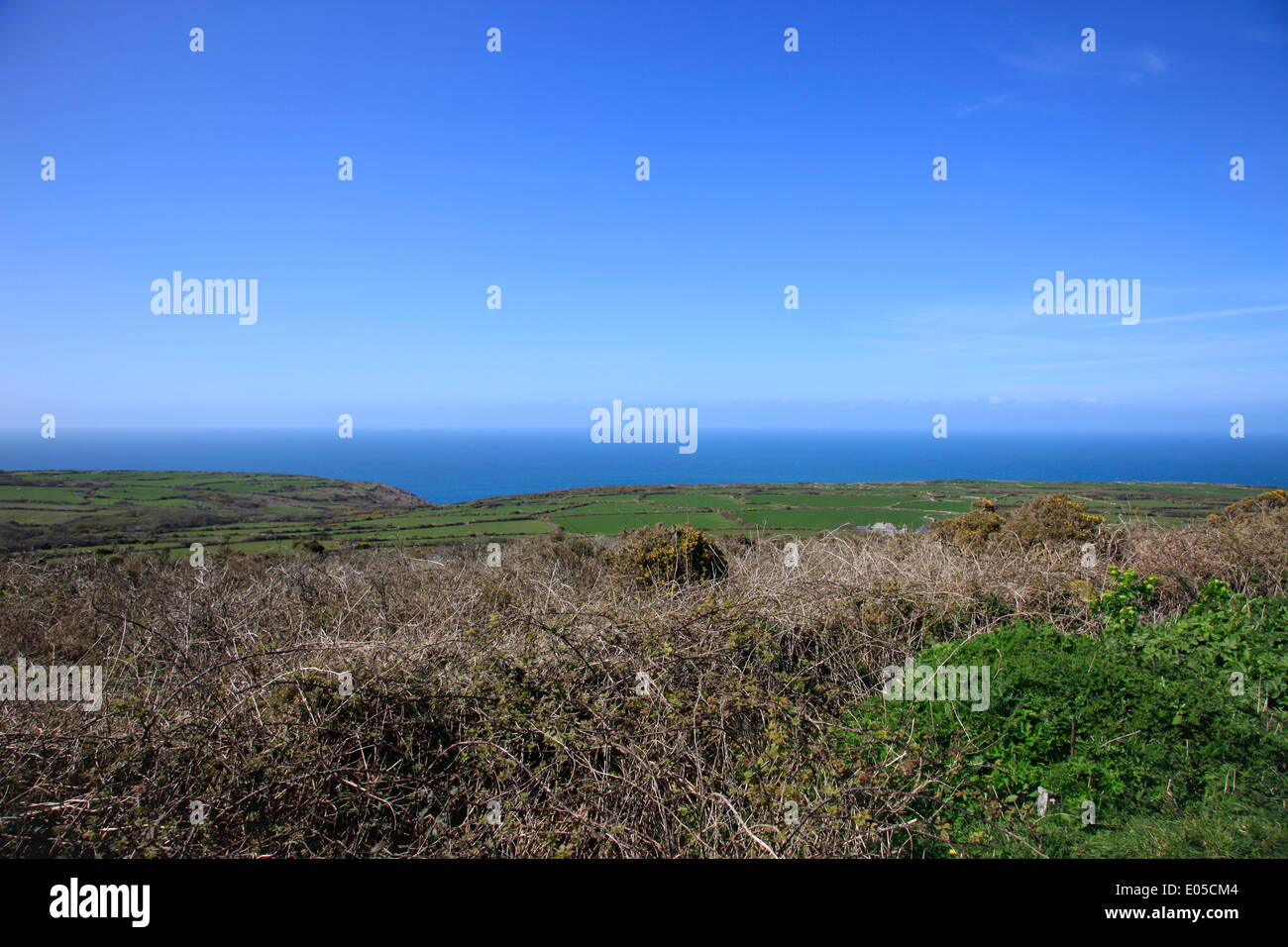 Farm Fields and Atlantic Ocean Cornish coast England Stock Photo - Alamy