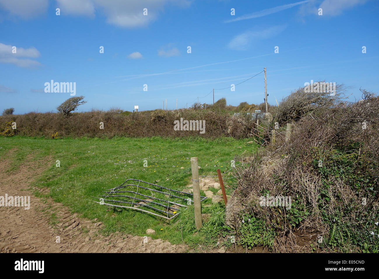 Farm gate broken hi-res stock photography and images - Alamy