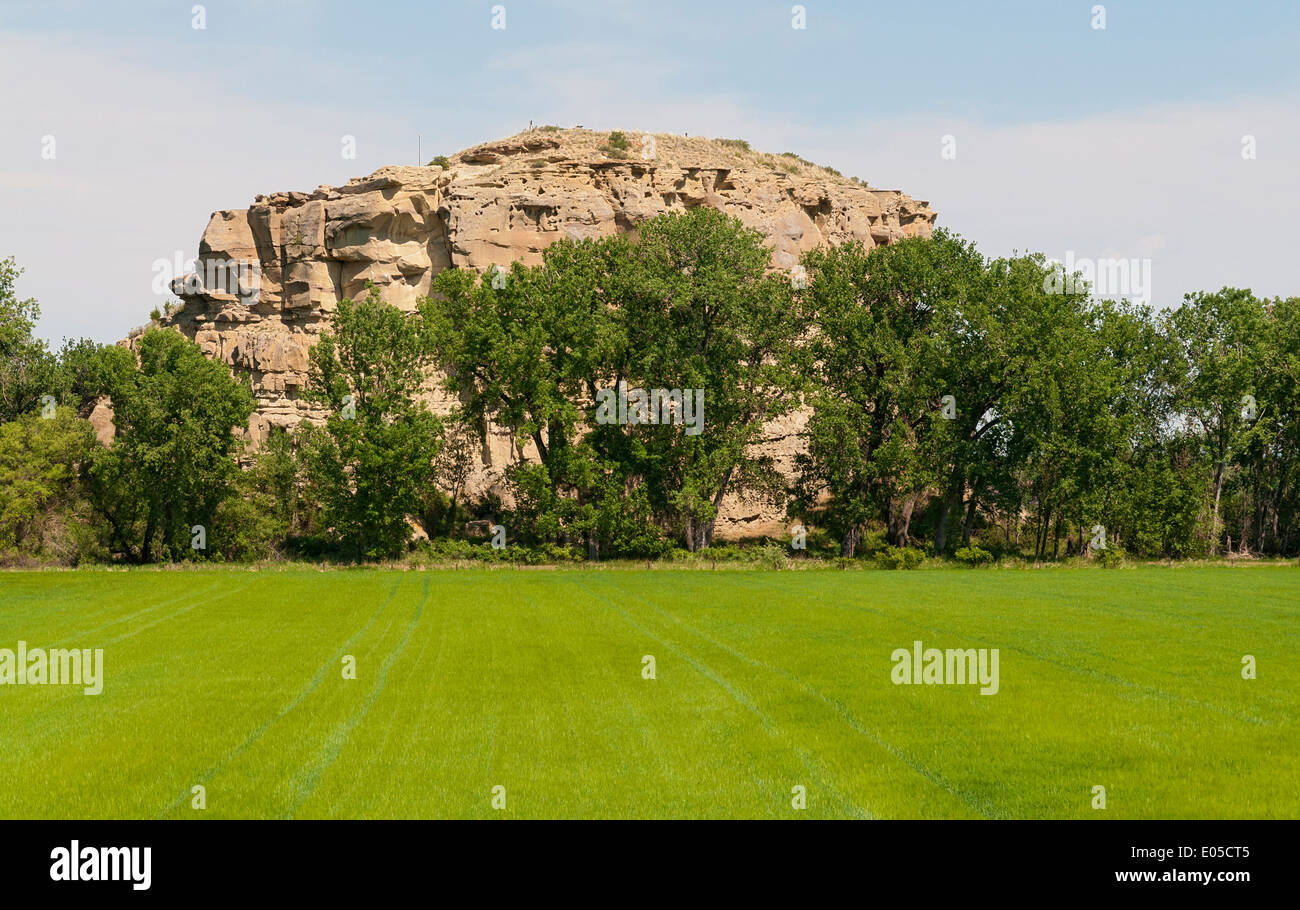 Pompeys Pillar National Monument High Resolution Stock Photography and ...