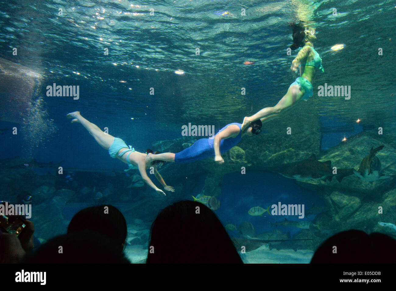 Chengdu. 2nd May, 2014. Actresses stage a performance in the aquarium ...