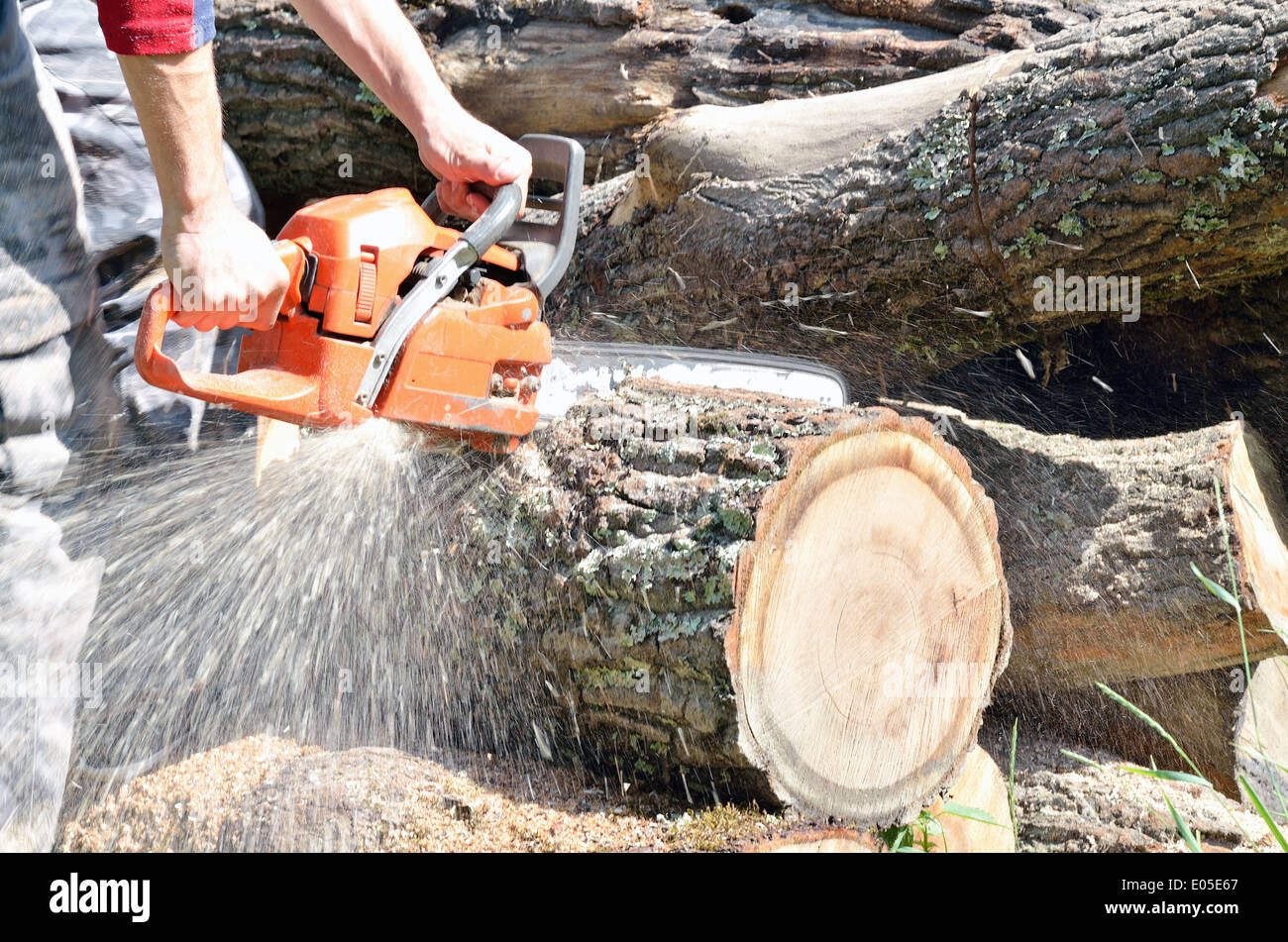 Chainsaw tree hi-res stock photography and images - Alamy
