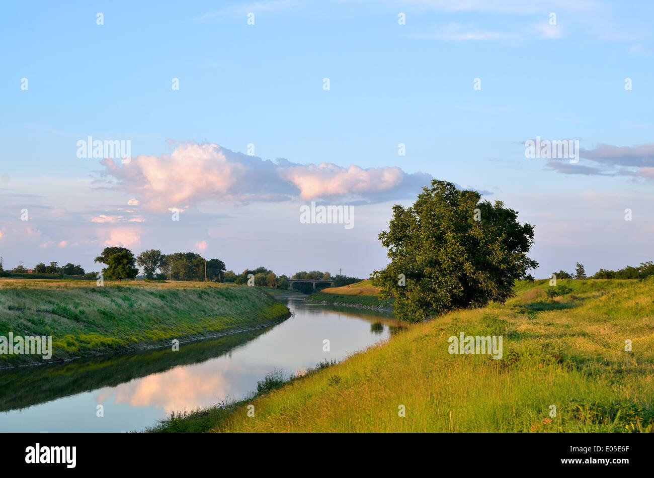 Trees by the river Stock Photo - Alamy