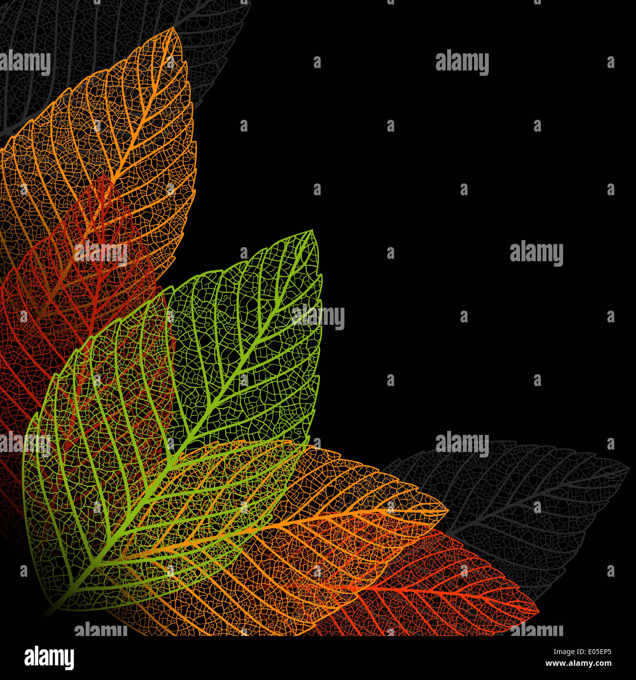 Skeleton leaf pattern hi-res stock photography and images - Alamy