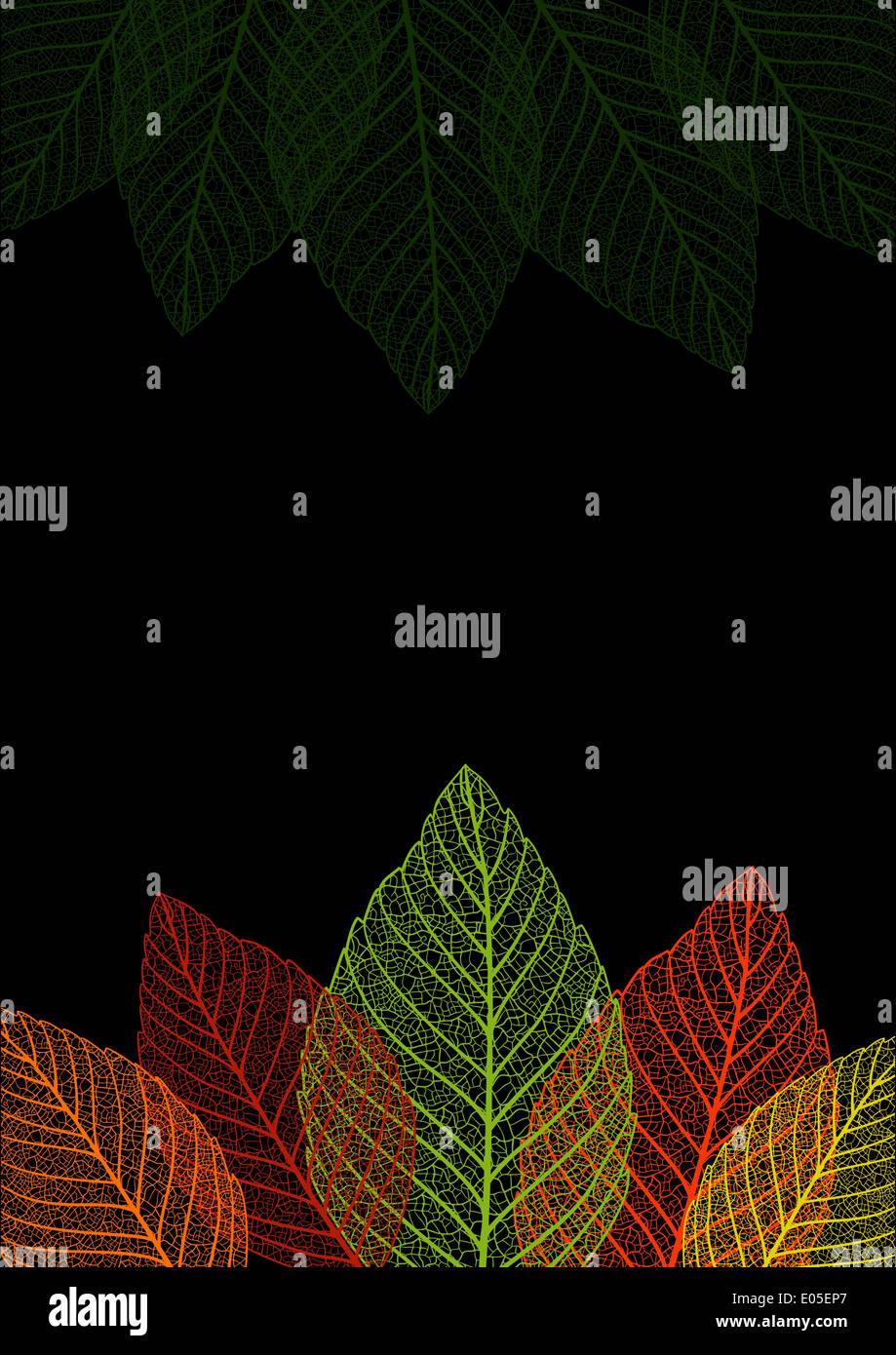 Skeleton leaf pattern hi-res stock photography and images - Alamy
