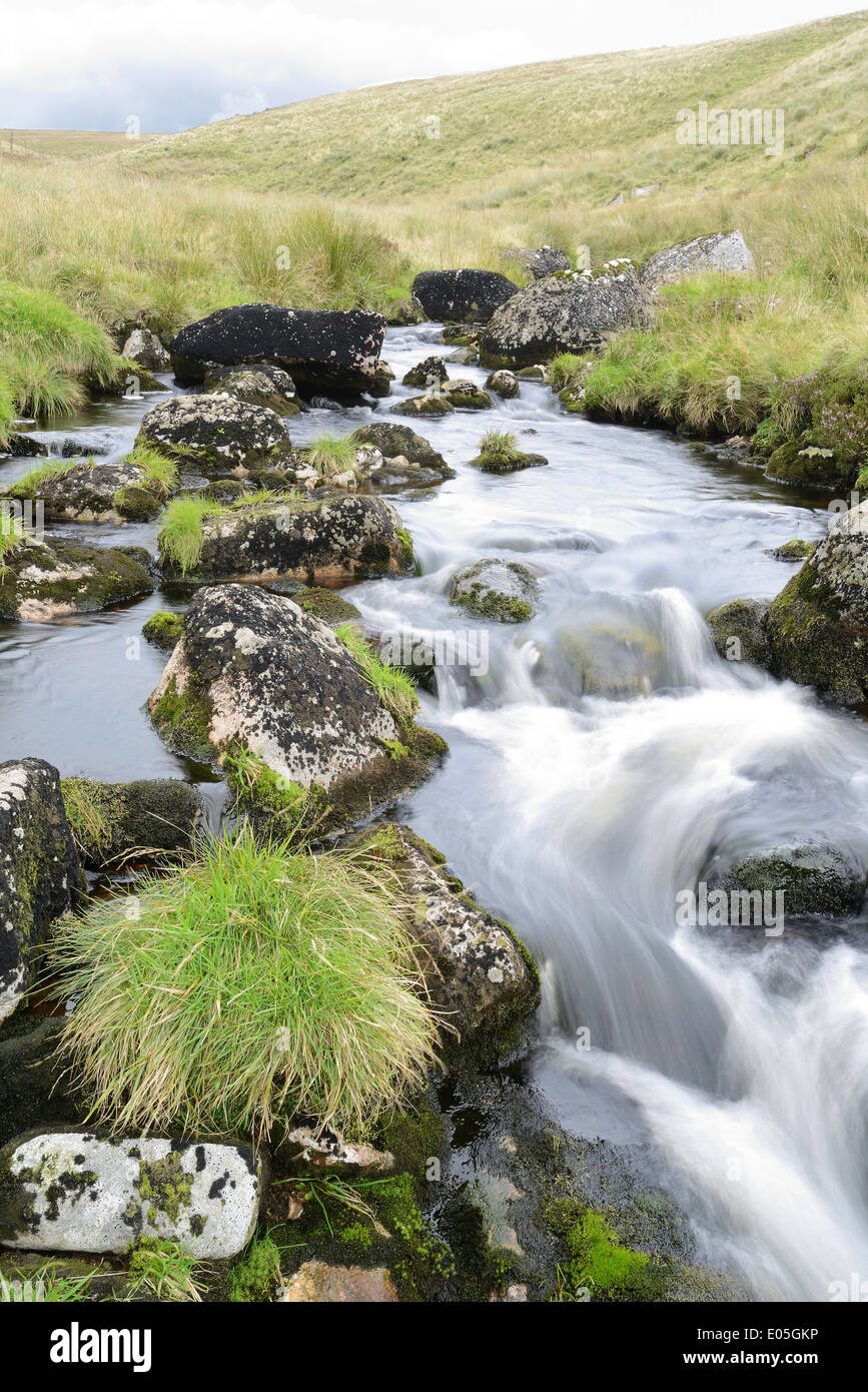 River Tavy Dartmoor Stock Photo - Alamy