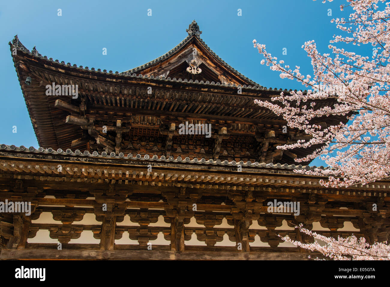 Toji temple hi-res stock photography and images - Alamy