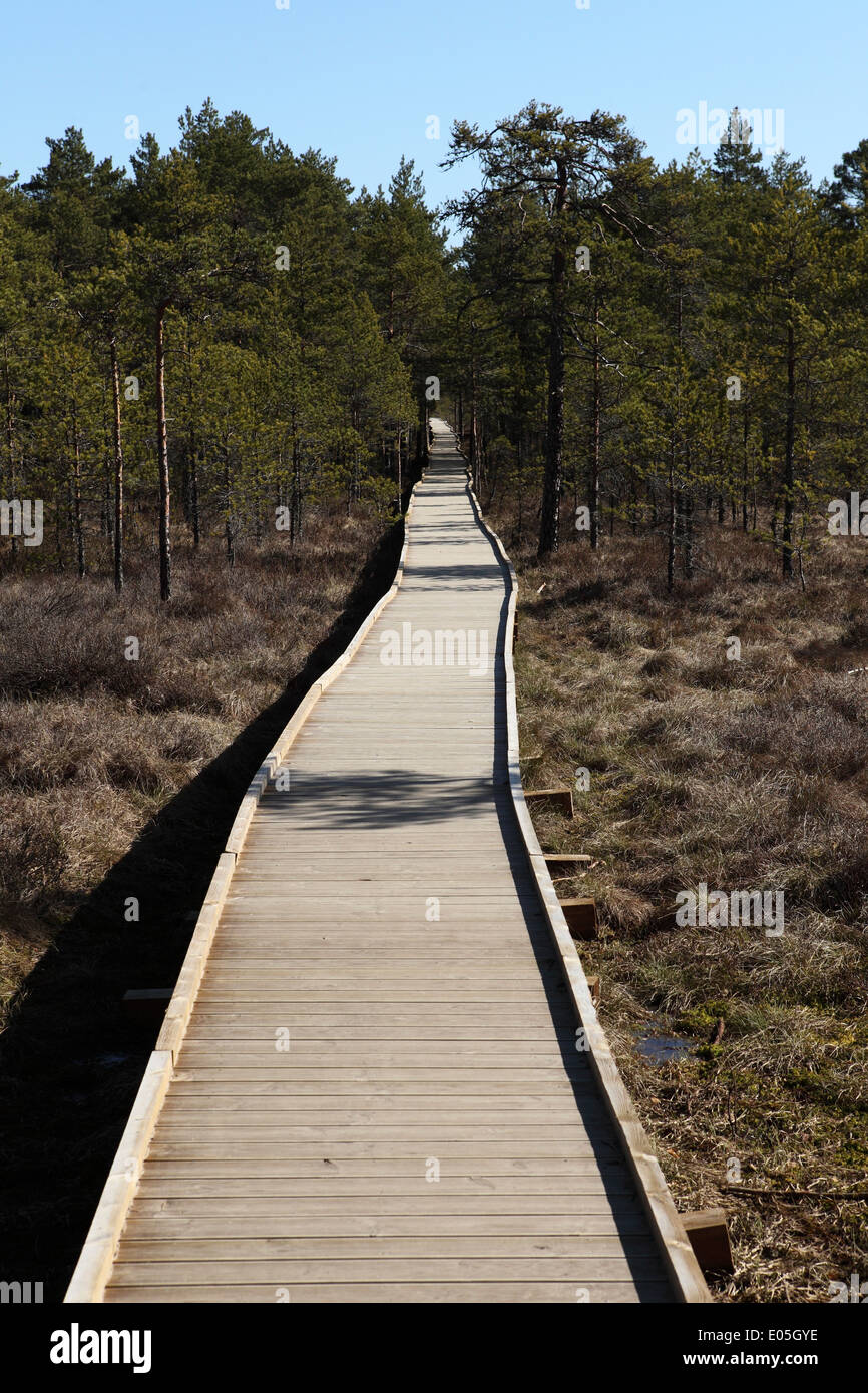 Viru bog trail hi-res stock photography and images - Alamy
