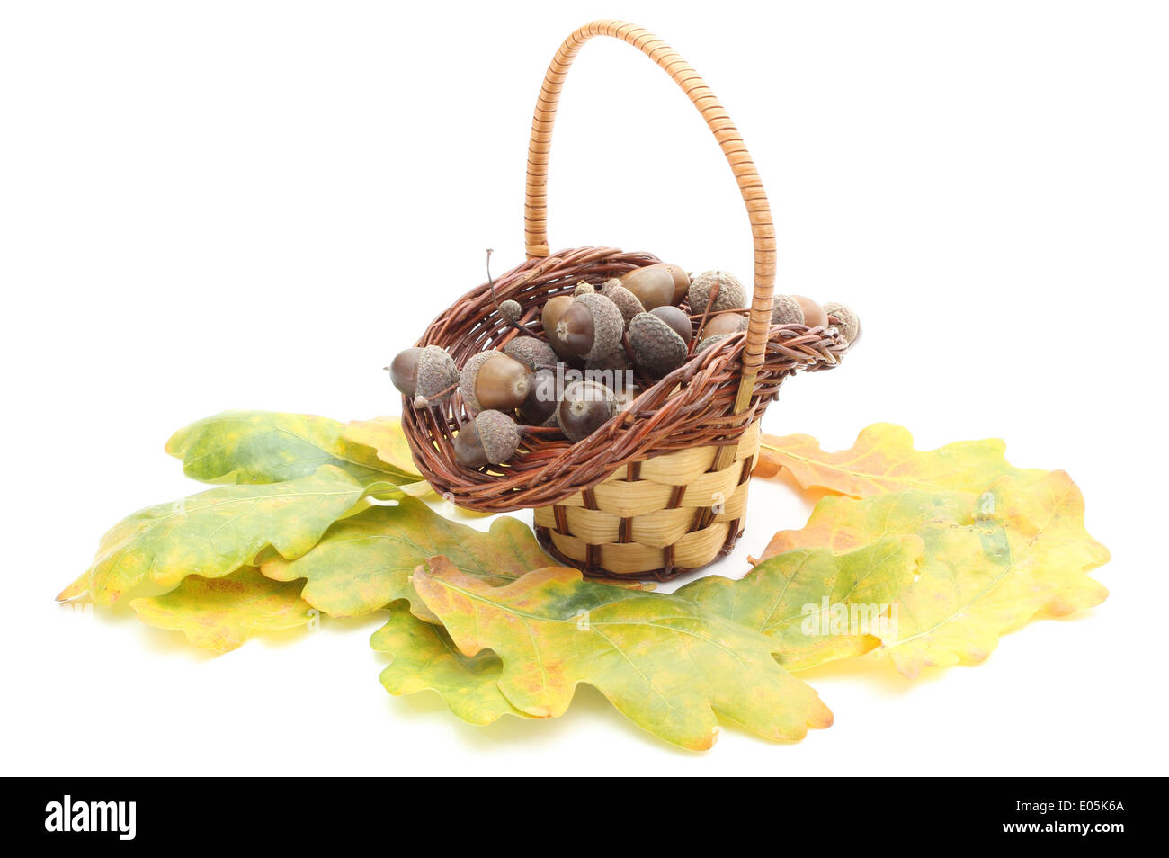 Acorn basket hi-res stock photography and images - Alamy