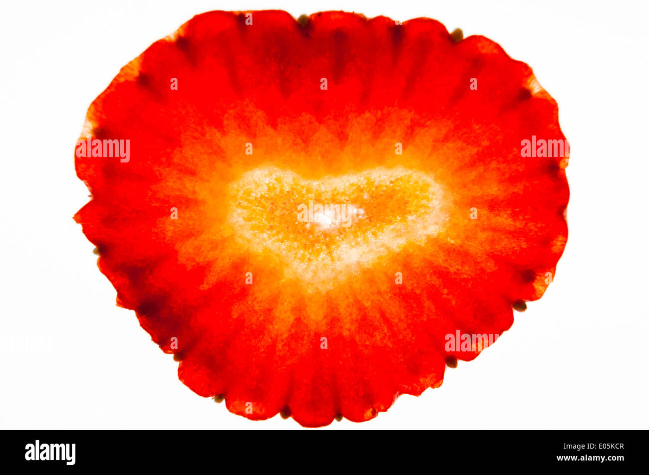 Details and texture of a thin slice of strawberry revealed by ...