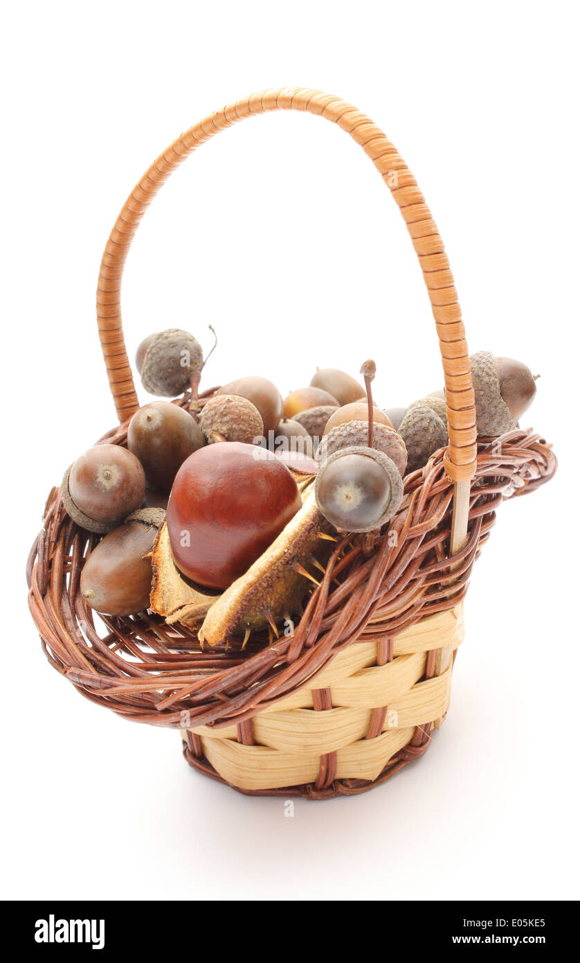 Acorn basket hi-res stock photography and images - Alamy