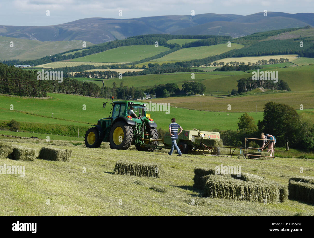 Tractor baling small square bale hay in Peeblesshire Stock Photo - Alamy