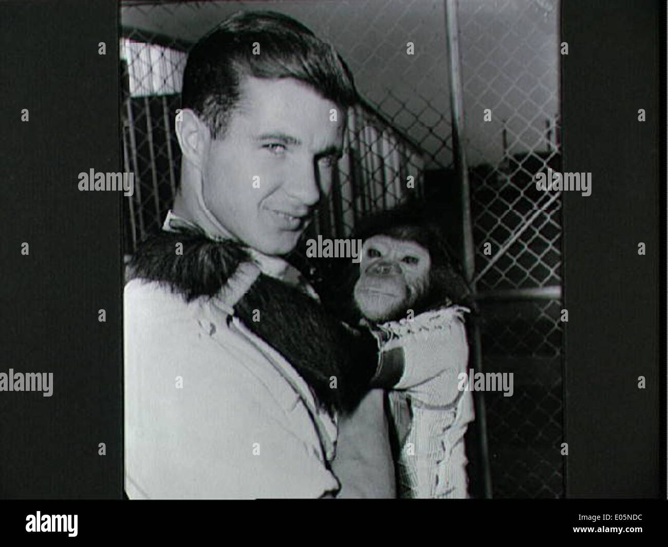 Enos, the chimpanzee astronaut, was the first primate to successfully ...