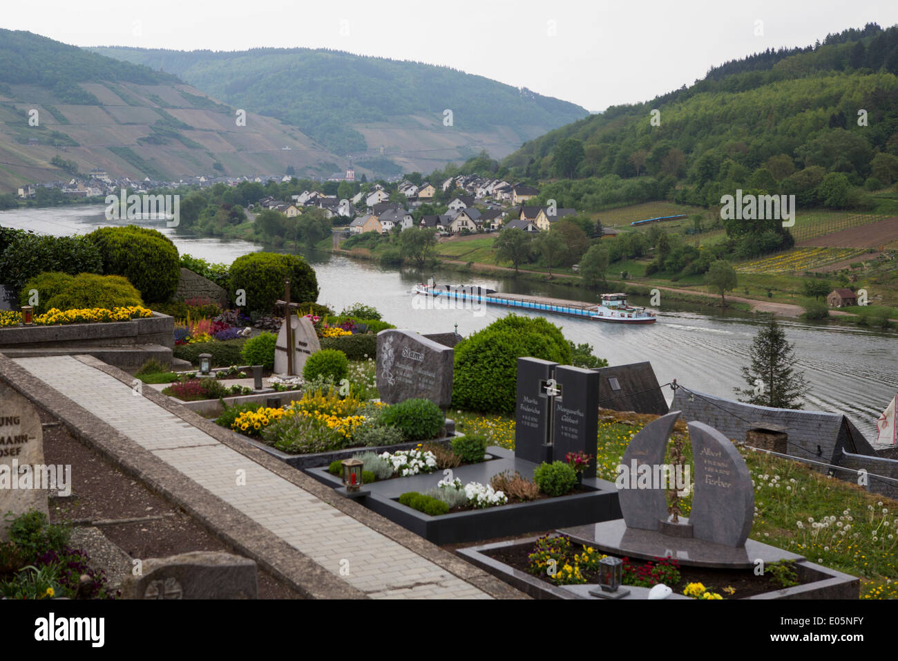 Dutch barge passing a graveyard at Zell Merl along the Mosel Stock ...