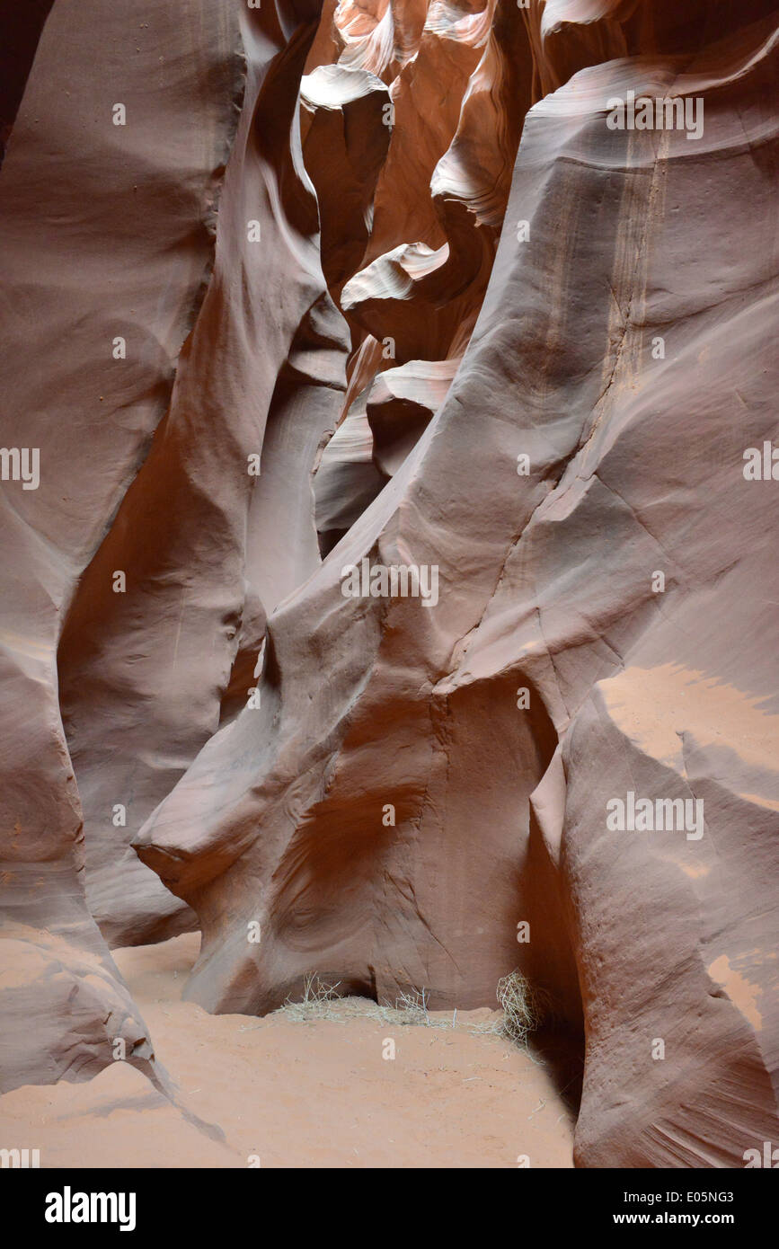 Sinuous ripples hi-res stock photography and images - Alamy