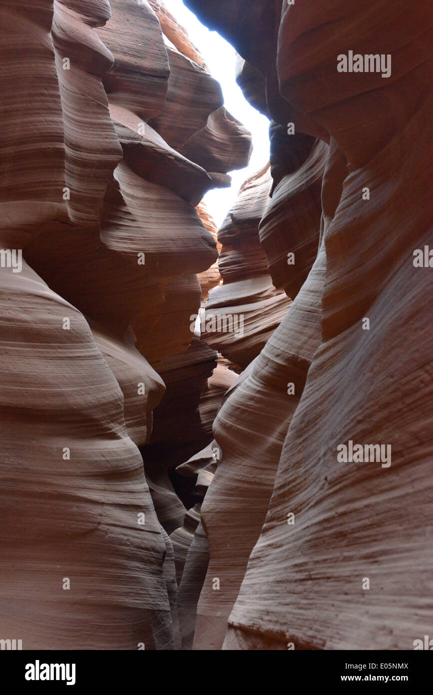 A beautiful natural canyon in sandstone Stock Photo - Alamy