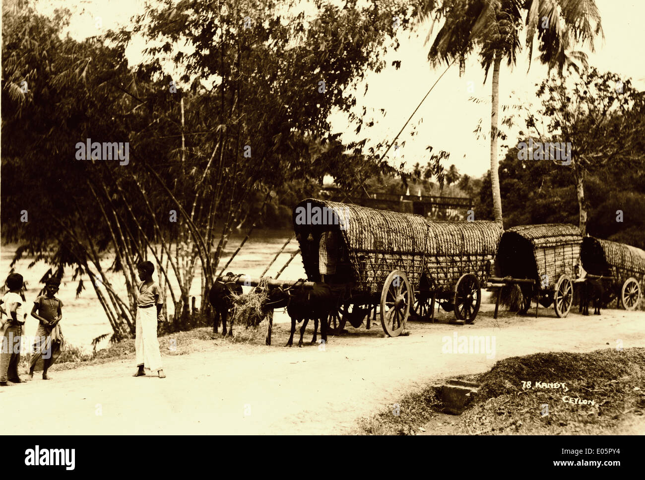 Ceylon (Sri Lanka Stock Photo - Alamy