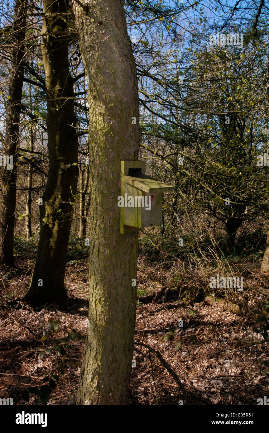 Protected woodland area hi-res stock photography and images - Alamy