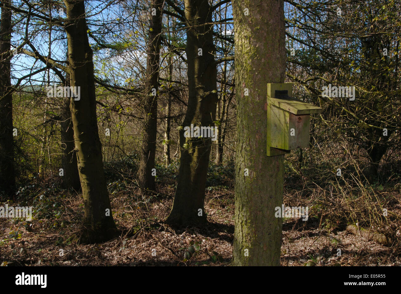 Protected woodland area hi-res stock photography and images - Alamy