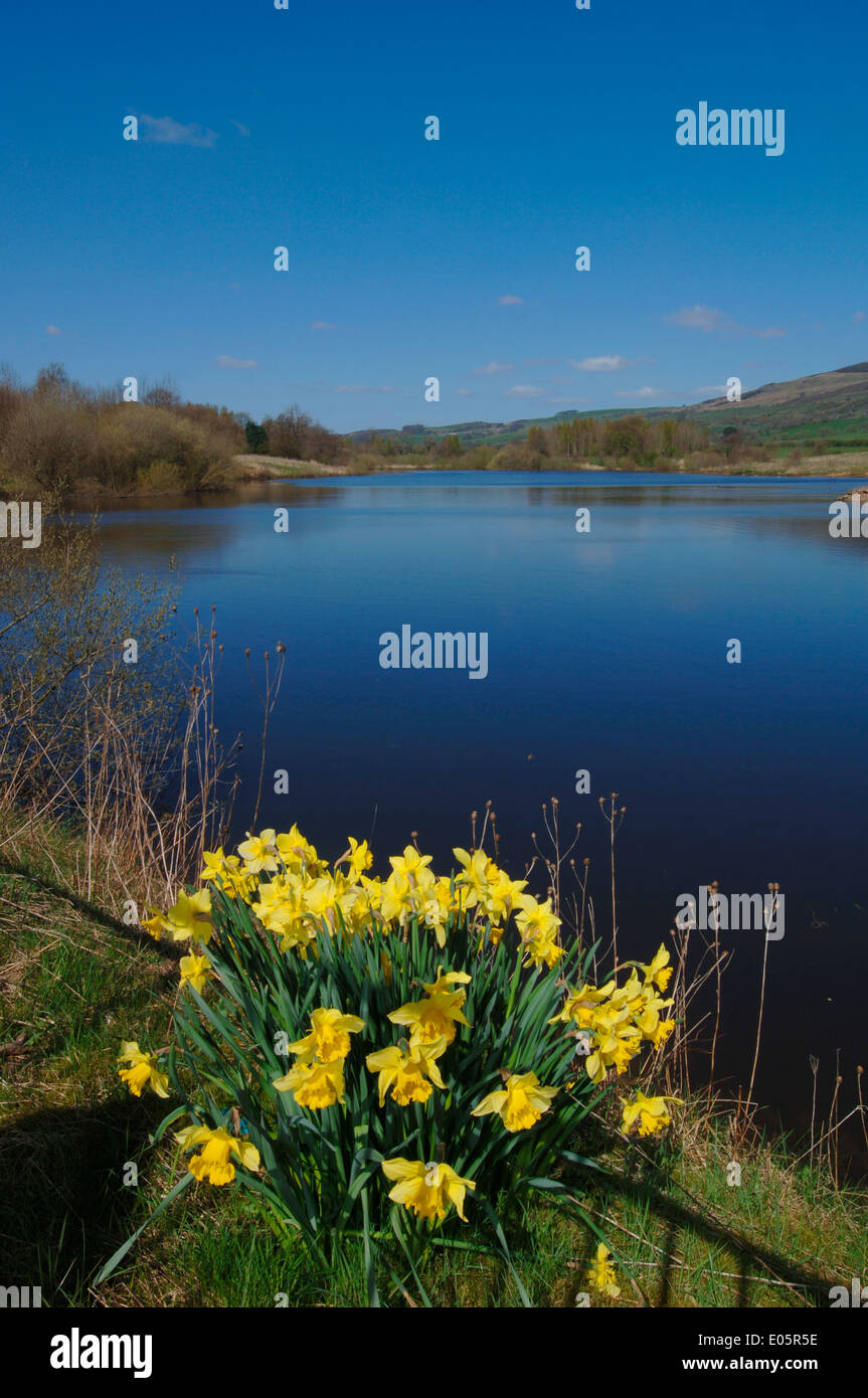 Overflow lake hi-res stock photography and images - Alamy