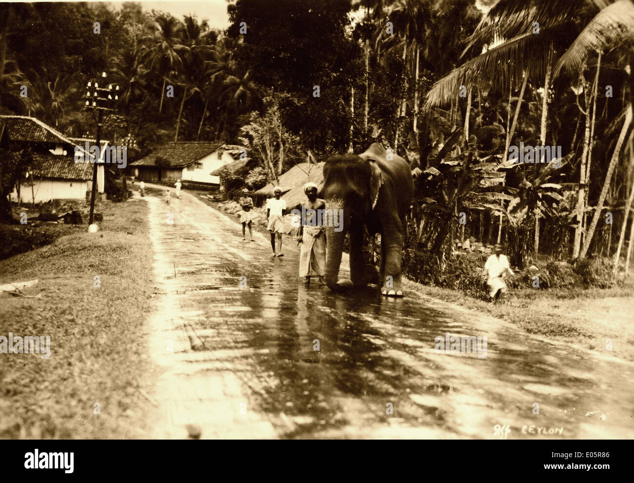 Ceylon (Sri Lanka Stock Photo - Alamy