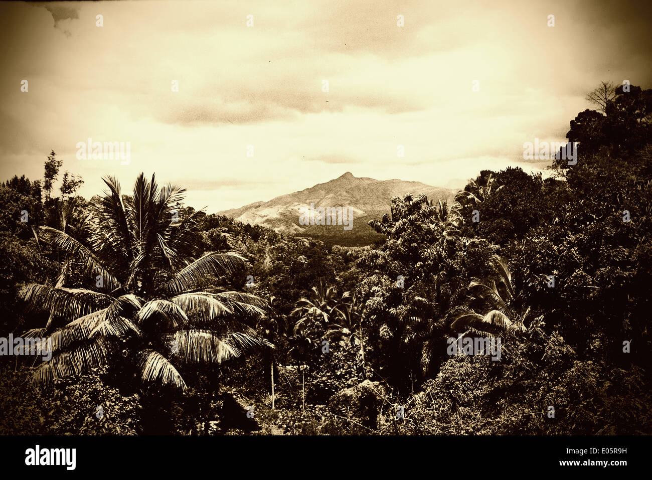 Ceylon (Sri Lanka Stock Photo - Alamy