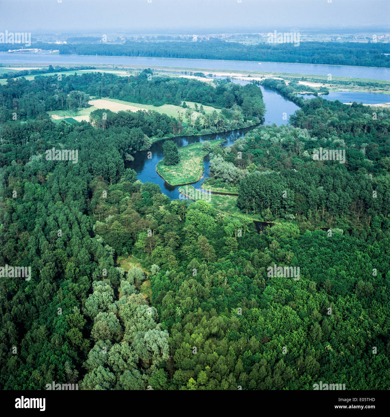 Birds eye view of rivers and trees in summer hi-res stock photography ...