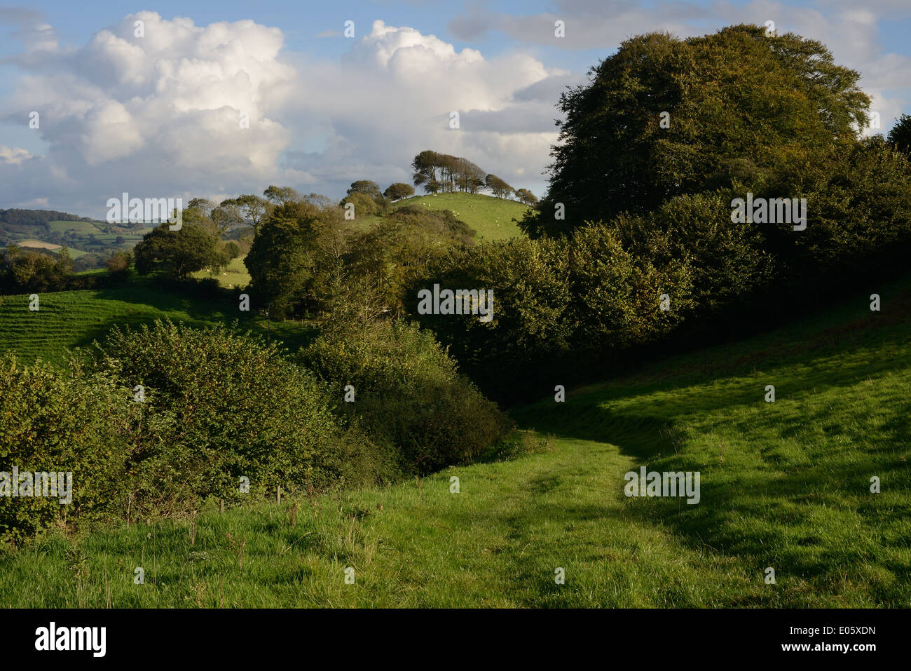 Gerrards hi-res stock photography and images - Alamy