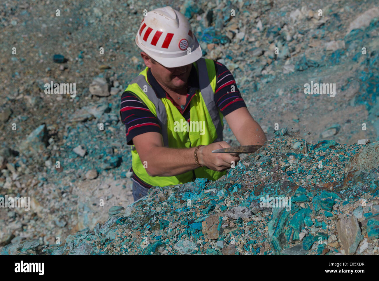 A geologist hammers off a piece of rock to examine a copper ore outcrop ...