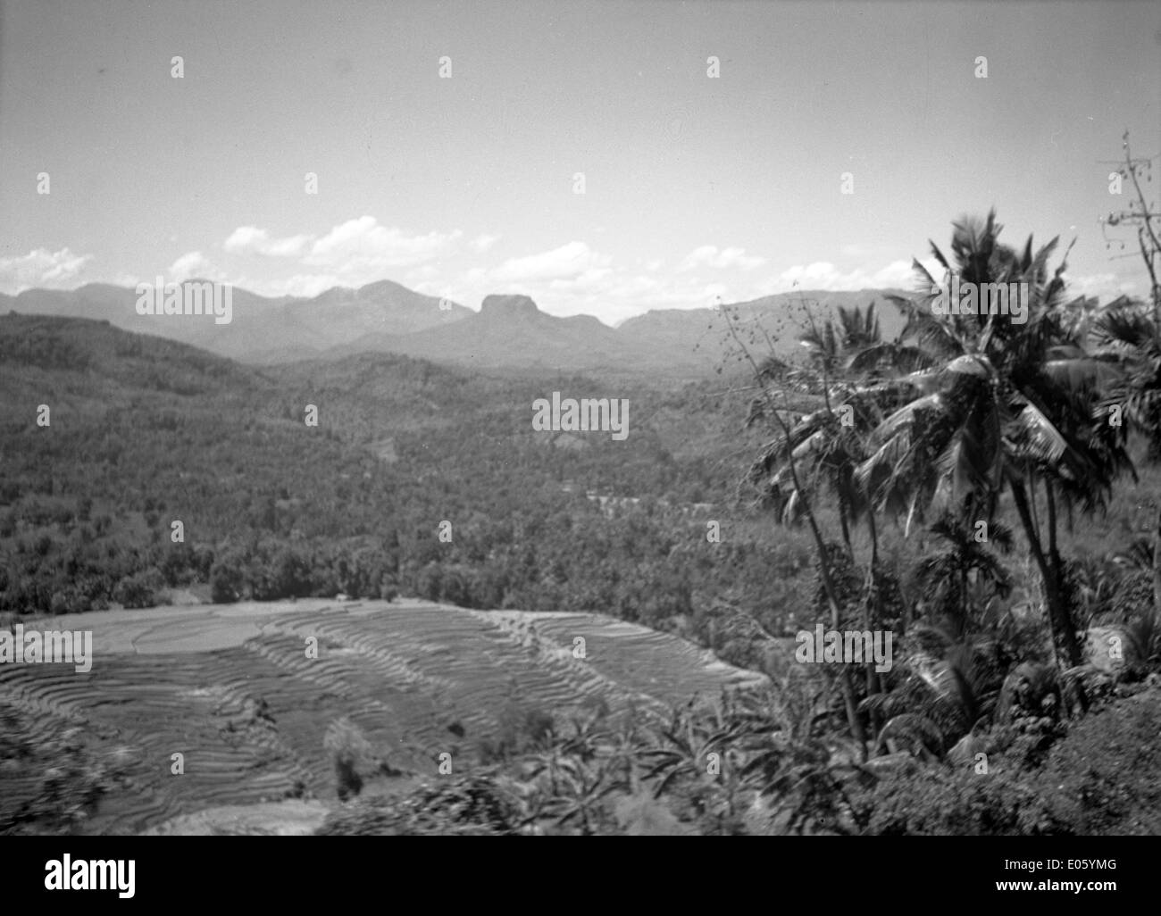 Ceylon (Sri Lanka Stock Photo - Alamy