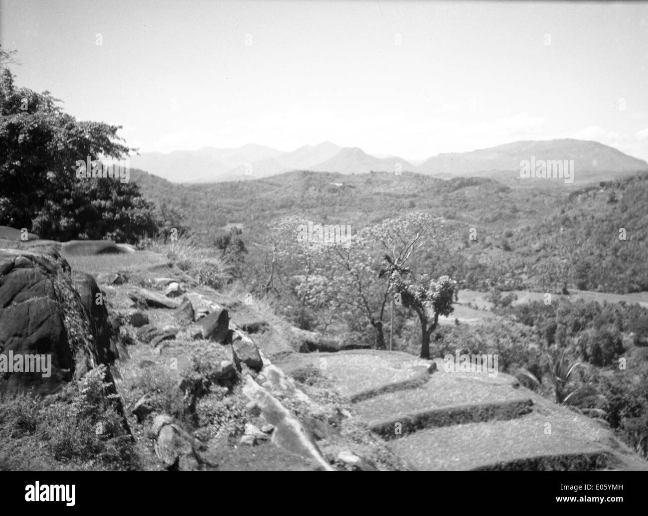 Ceylon (Sri Lanka Stock Photo - Alamy