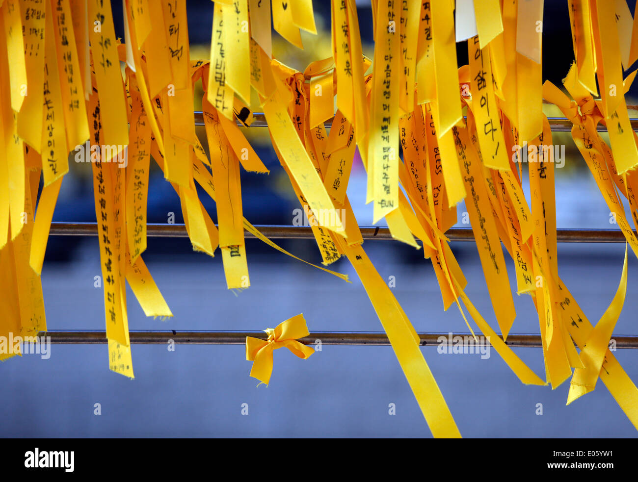 Seoul, South Korea. 3rd May 2014. Yellow ribbons are hung at the ...